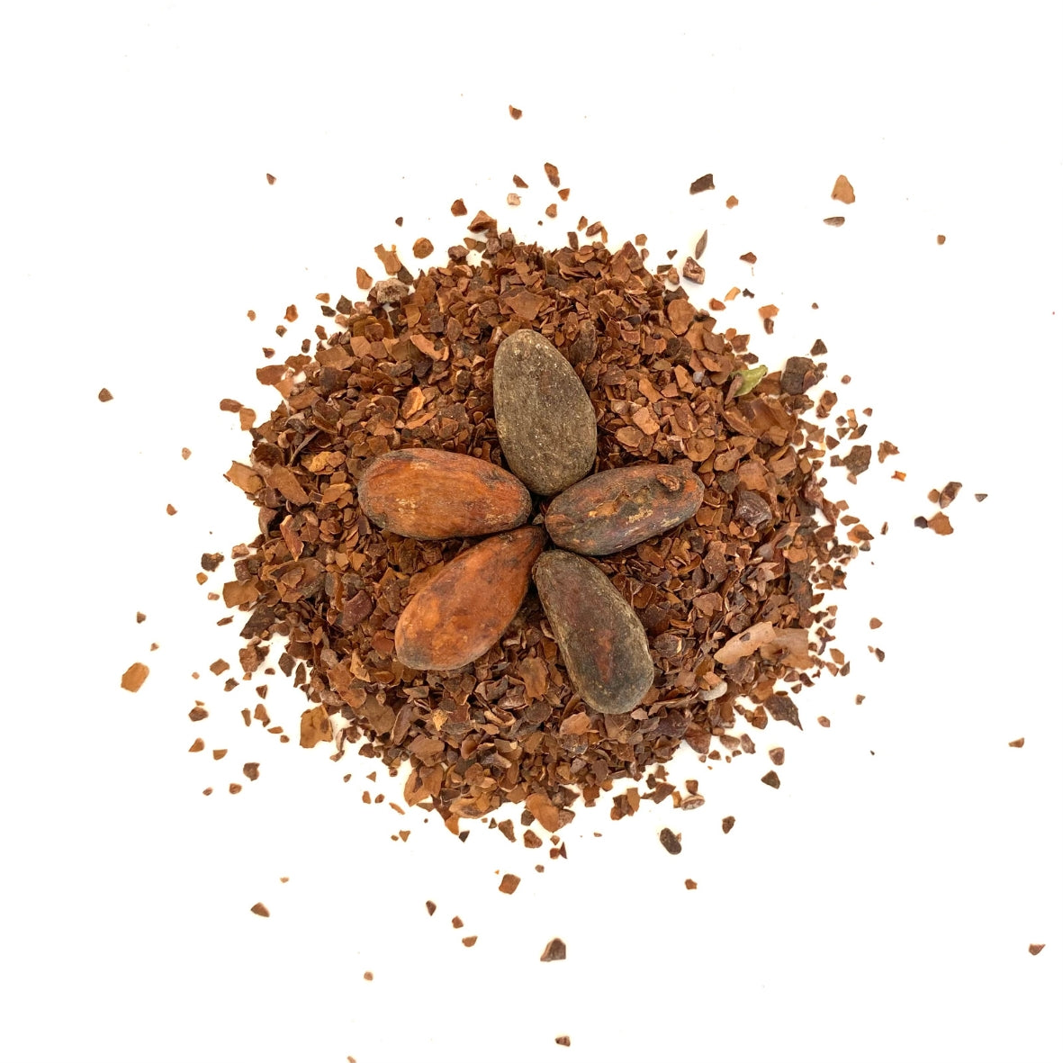 Double Chocolate Cacao Husk Tea – FIVE PETALS